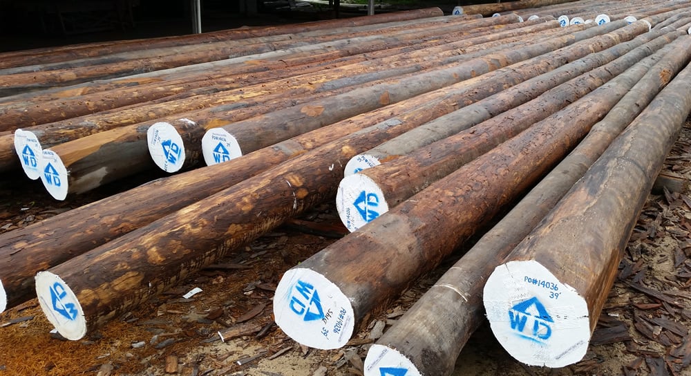 Piling & Marine Pilings - Decks & Docks Lumber Company