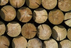 Decking and Dock Products | Decks & Docks