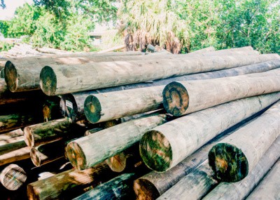 Decks & Docks Lumber Company - The Top Marine Construction Supplier