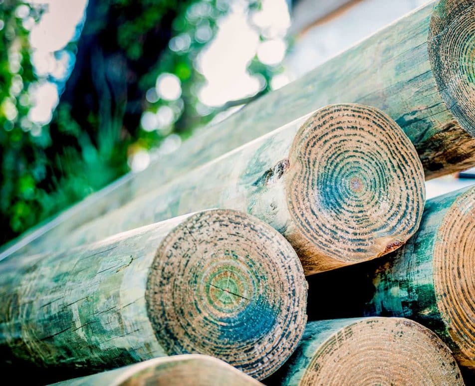 Treated Wood Pilings - Decks & Docks Lumber Co.