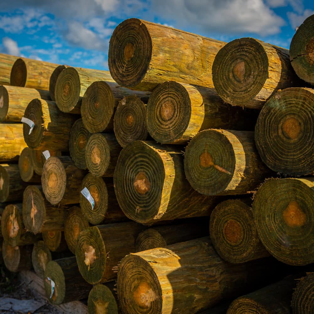 Piling & Marine Pilings - Decks & Docks Lumber Company
