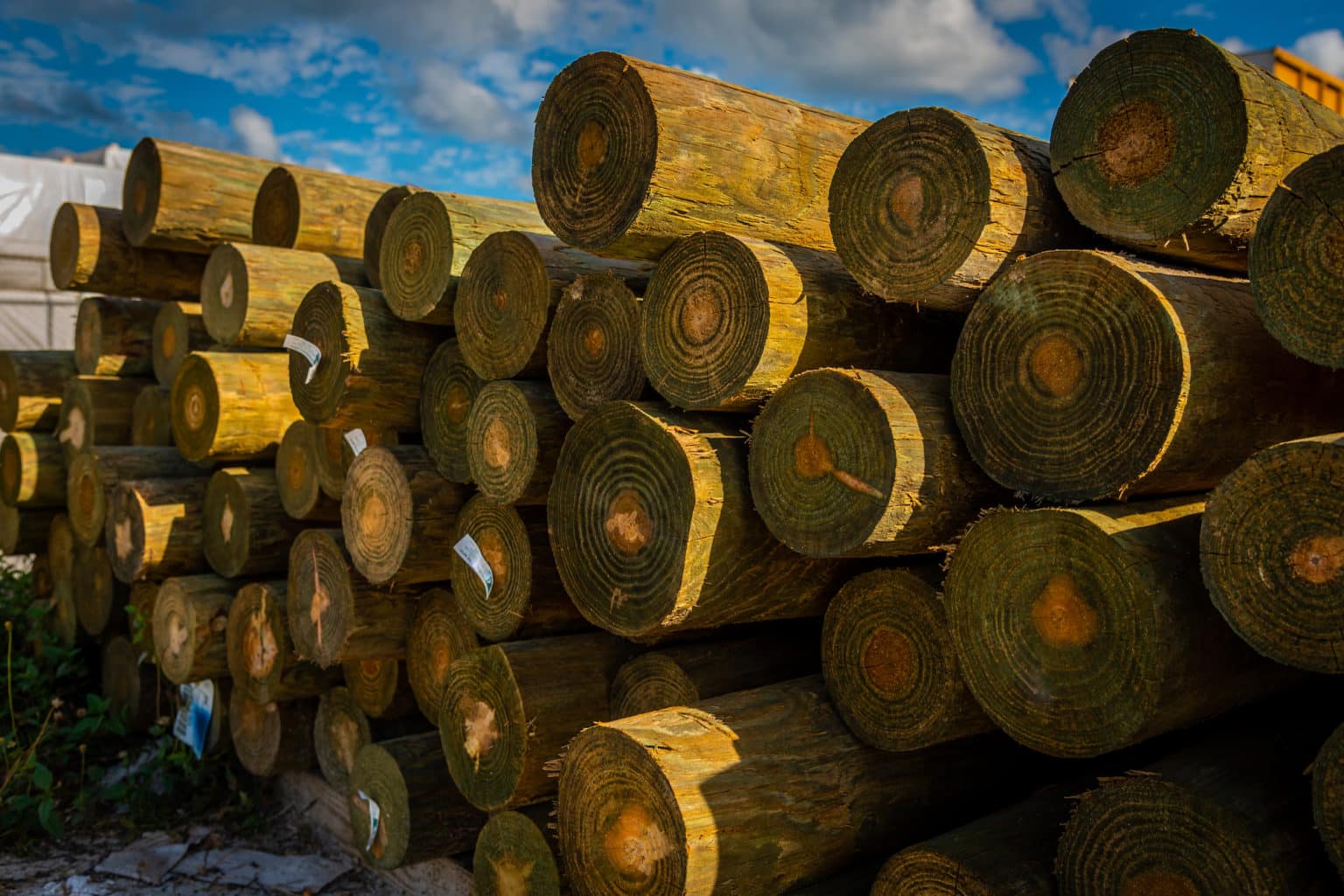 Piling & Marine Pilings - Decks & Docks Lumber Company