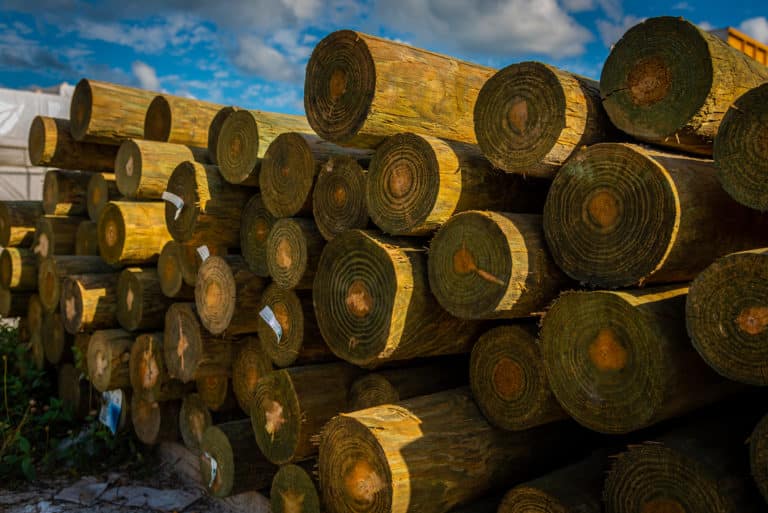 Piling & Marine Pilings - Decks & Docks Lumber Company