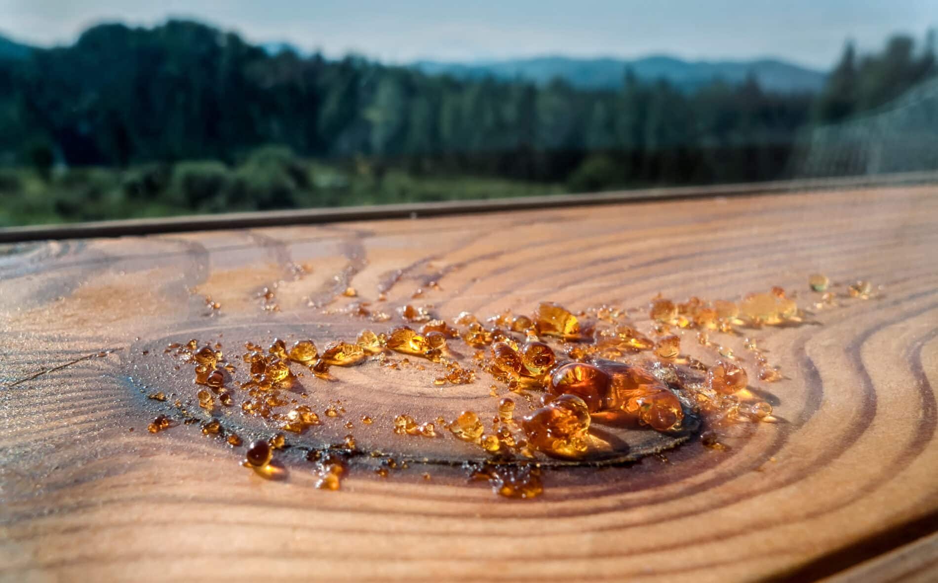 Removing Pine Sap From Composite Decking | Decks & Docks